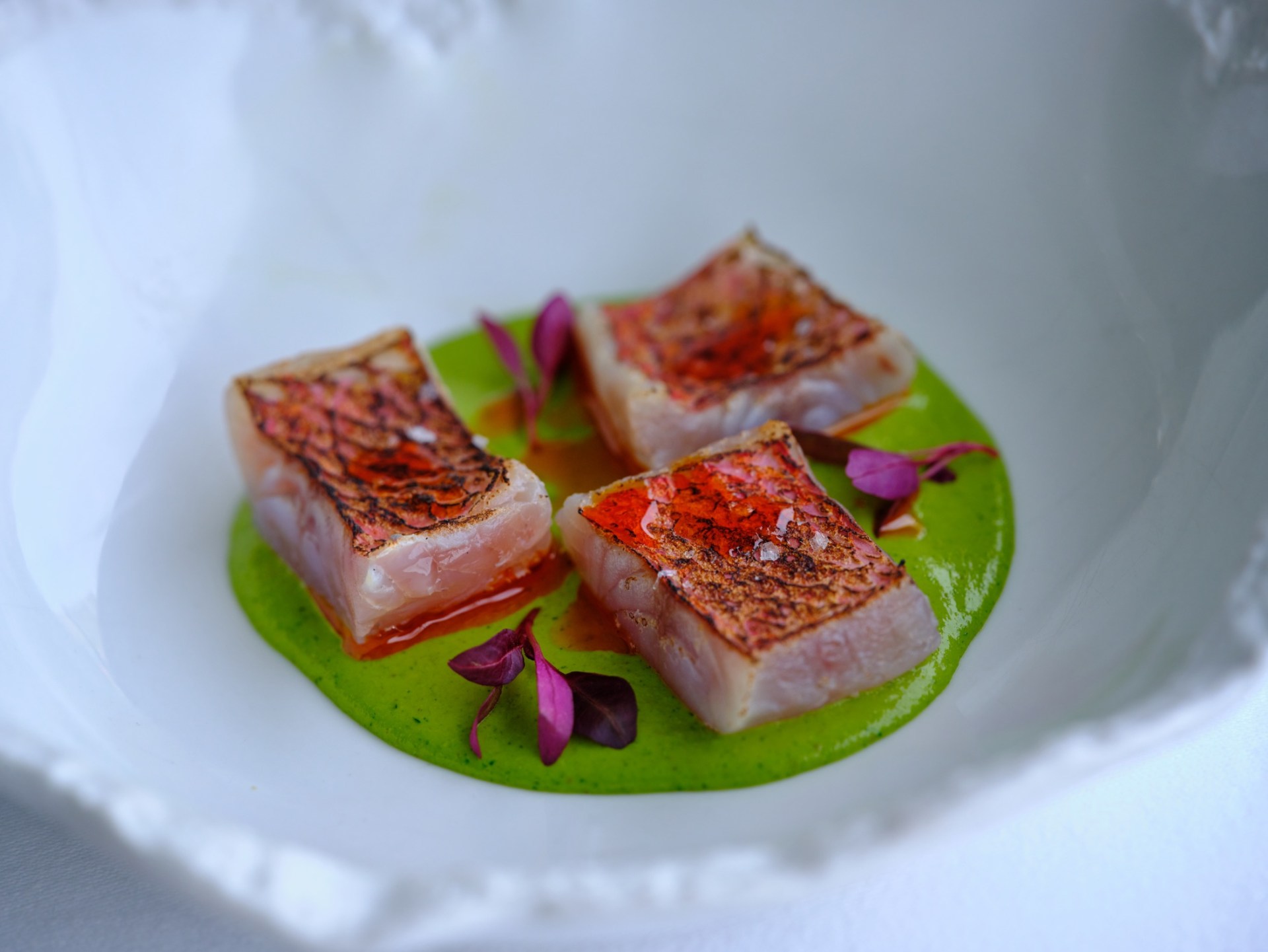 Azzurra by Aqua Restaurant Group Comes to London- Luxuriate Life Magazine