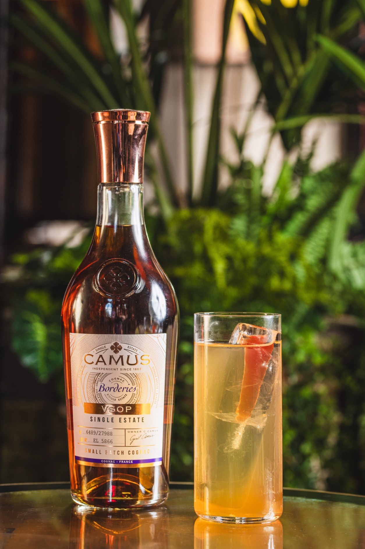 Camus Cocktails at Gothic Bar: A Jules Verne Adventure - Luxuriate Life ...