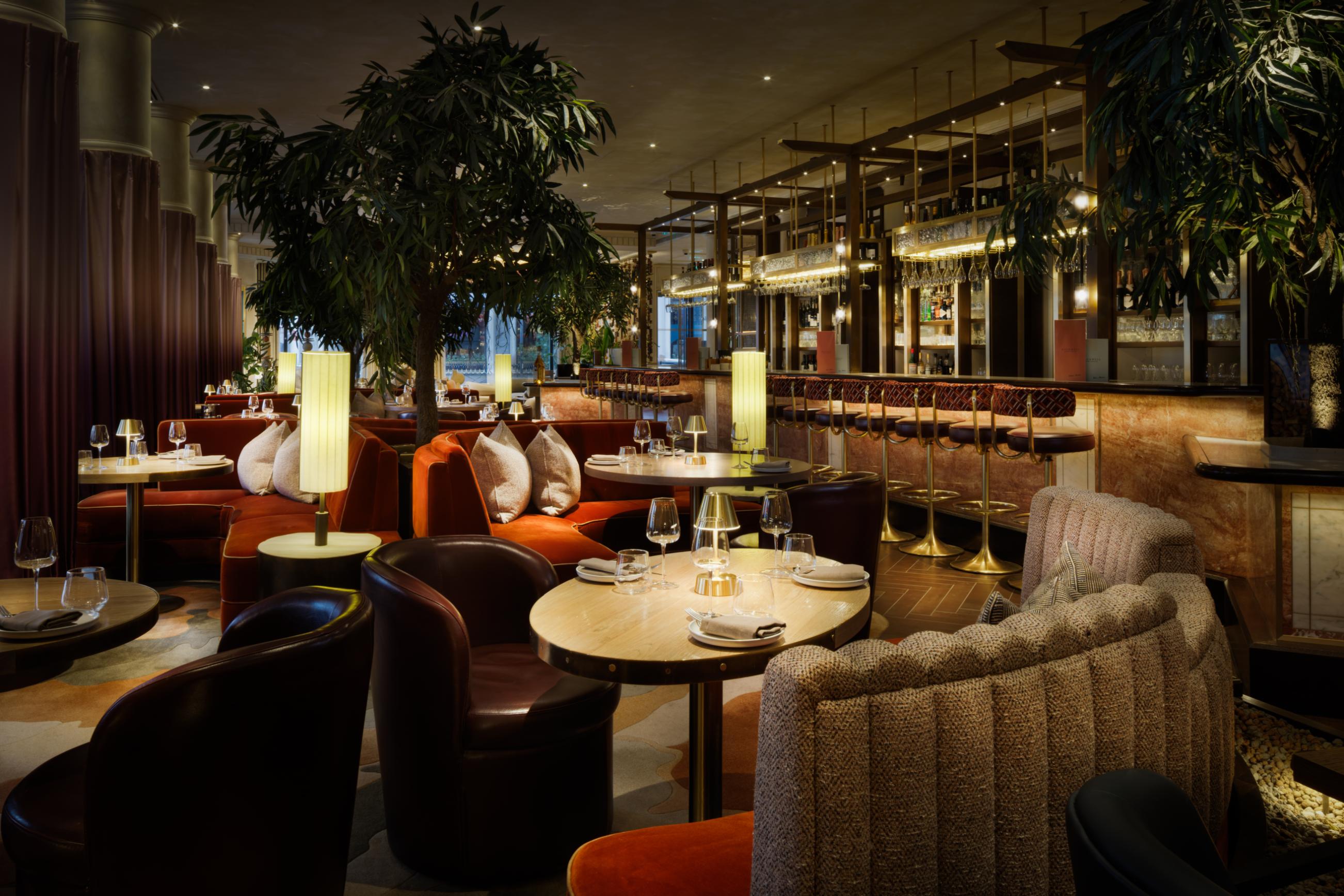 Rockwell: A Wine Bar Sanctuary in the Heart of London - Luxuriate Life Magazine