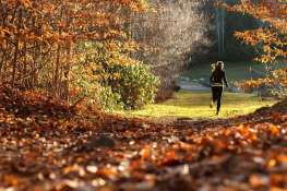 Rebase Recovery: London’s Most Luxurious Wellness Hub - Luxuriate Life ...