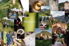 The WildKitchen by Guy Ritchie barbecue experience - Luxuriate Life ...